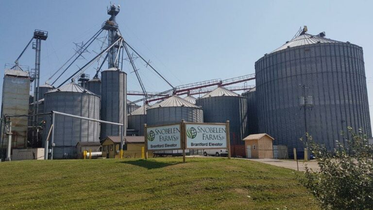 Our History – Snobelen Farms